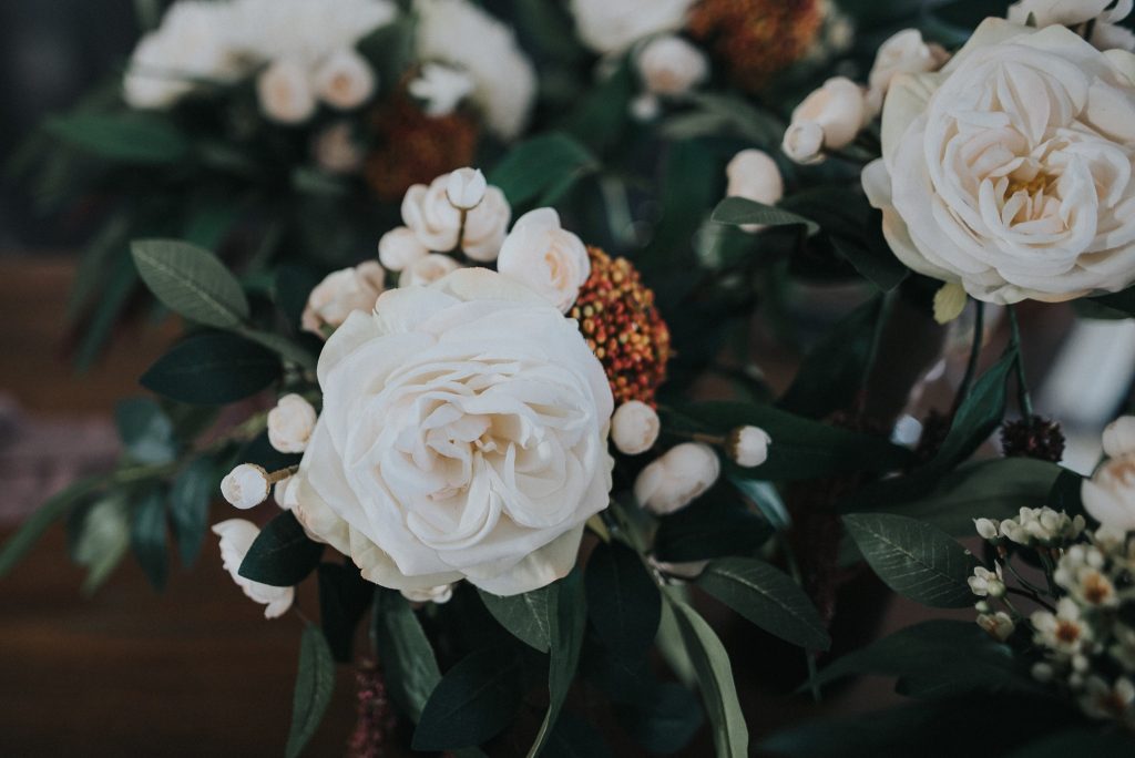 Darwin Photographer + Videographer – Kelly Judd – Family Newborn ...