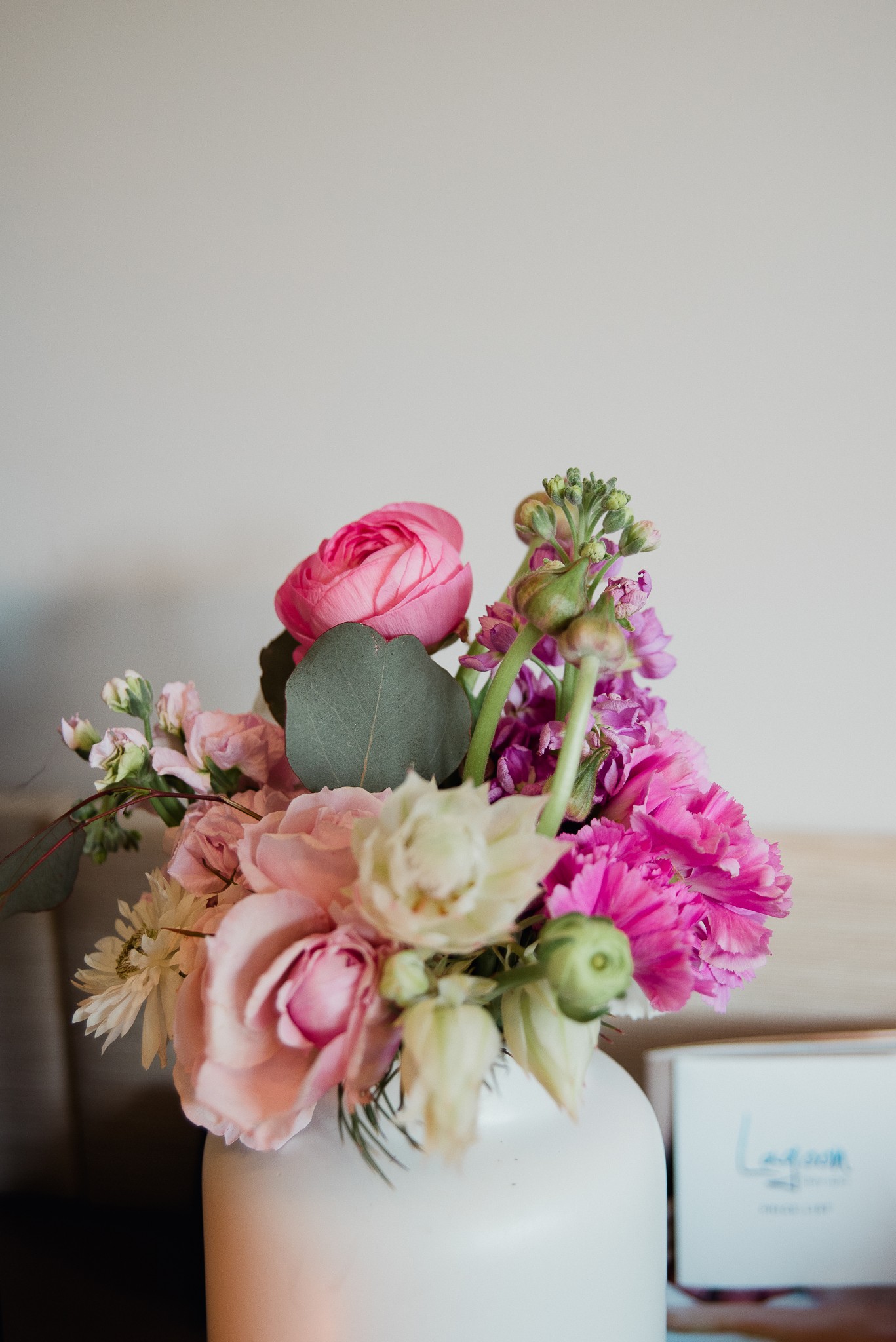 Darwin Photographer + Videographer – Kelly Judd – Family Newborn ...