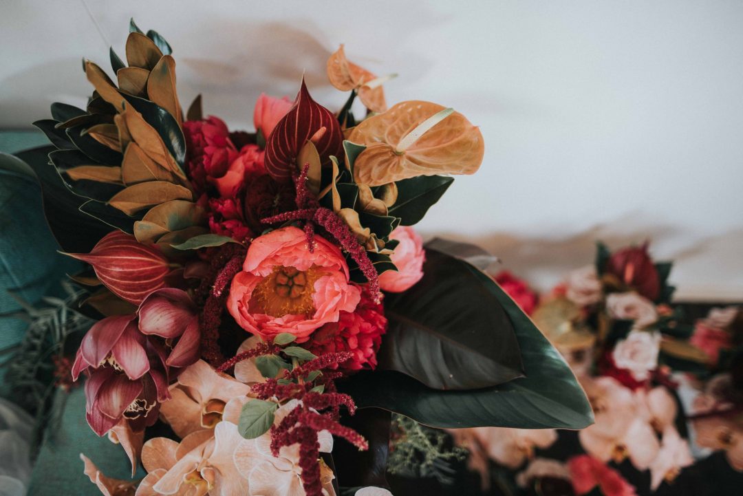 Darwin Photographer + Videographer – Kelly Judd – Family Newborn ...